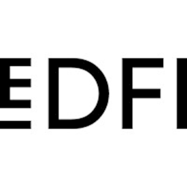 EU ASSOCIATE | EDFI
